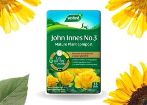 How do I choose the best compost for vegetable garden In 2022?