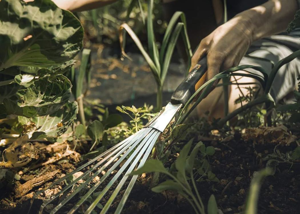 Fiskars Hand Garden Rake Review: No.1 Rake You Should Buy!